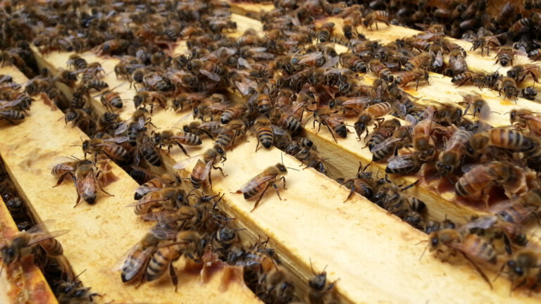 Projects | Kyle Gabriel