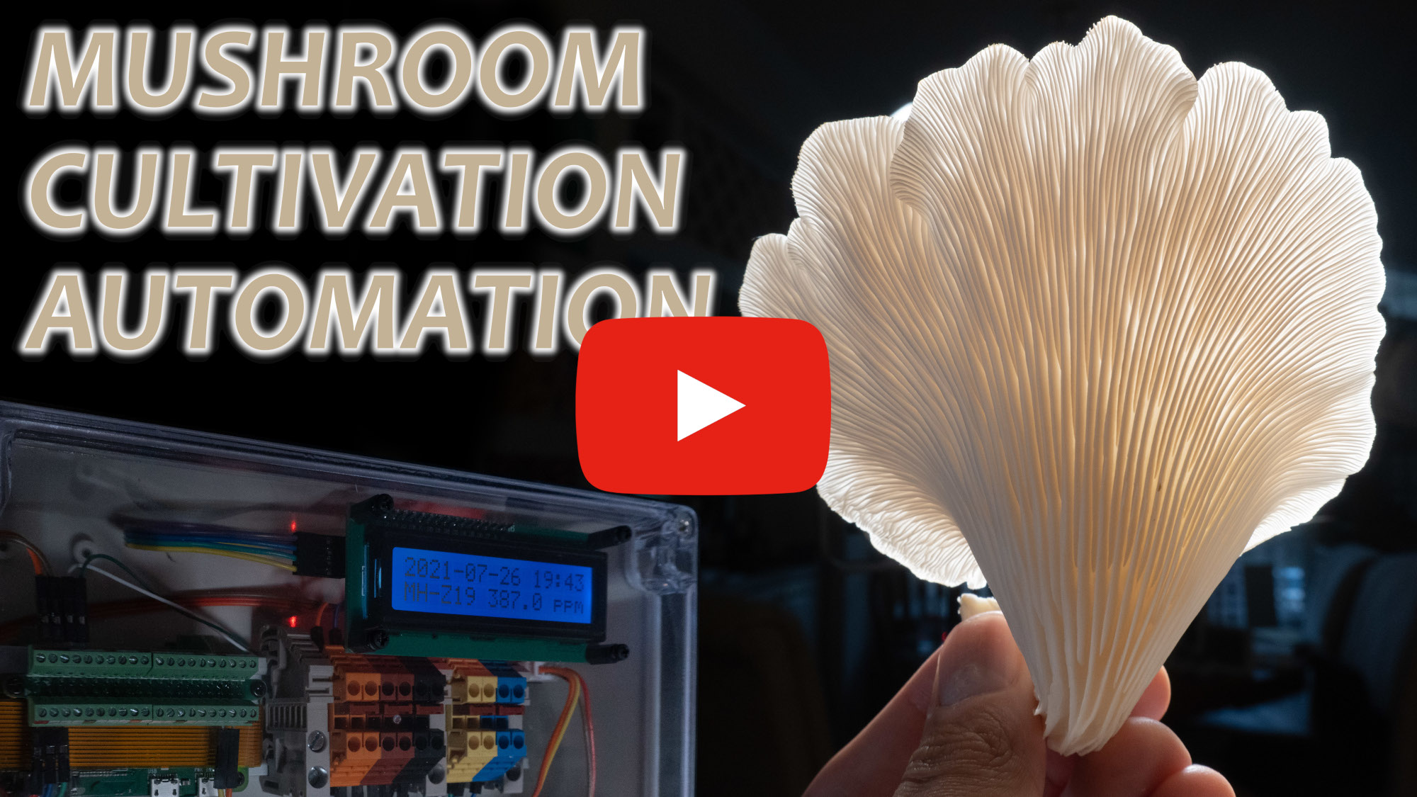 Mushroom Cultivation Automation: From Foraging to Fruiting – Projects | Kyle Gabriel